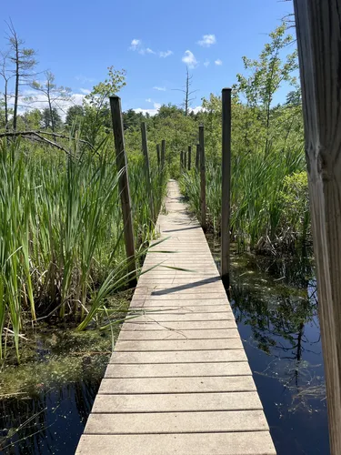 Best Hikes and Trails in Chamberlain-Reynolds Memorial Forest | AllTrails