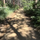 Mars Hill Trail, Arizona - 1,148 Reviews, Map | AllTrails