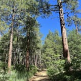 Mars Hill Trail, Arizona - 1,148 Reviews, Map | AllTrails