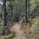 Mount Constitution via Mountain Lake and Little Summit Loop, Washington ...