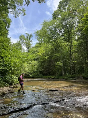 Best Hikes and Trails in Window Cliffs State Natural Area | AllTrails