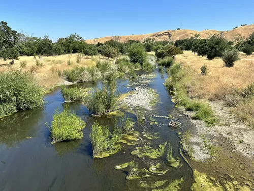 10 Best Trails and Hikes in Livermore | AllTrails