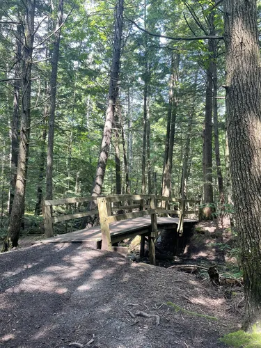 Best Hikes and Trails in Odell Park | AllTrails