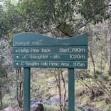 Mt Coot-tha Summit Track, Queensland, Australia - 409 Reviews, Map ...