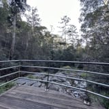 Mt Coot-tha Summit Track, Queensland, Australia - 409 Reviews, Map ...