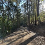 Mt Coot-tha Summit Track, Queensland, Australia - 409 Reviews, Map ...
