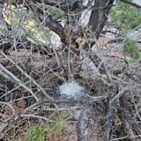 Needles Overlook Trail, Utah - 75 Reviews, Map | AllTrails