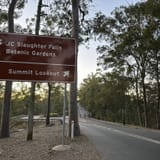 Mt Coot-tha Summit Track, Queensland, Australia - 409 Reviews, Map ...