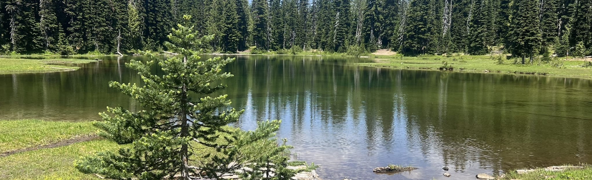 Crystal Mountain Loop, Washington - 614 Reviews, Map | AllTrails