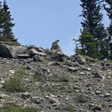 Middle Sister Trail, Alberta, Canada - 385 Reviews, Map | AllTrails