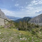 Middle Sister Trail, Alberta, Canada - 385 Reviews, Map | AllTrails