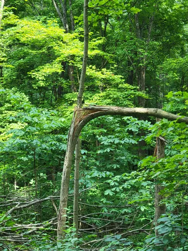 Best Hikes and Trails in Miami Whitewater Forest Park | AllTrails