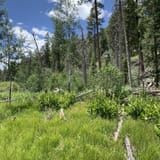 Government Springs 95A, Arizona - 484 Reviews, Map | AllTrails