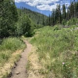 Government Springs 95A, Arizona - 484 Reviews, Map | AllTrails