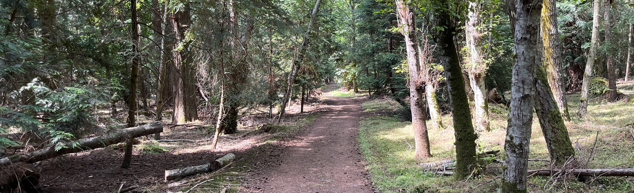 Sidney Spit and Lagoon Trail, British Columbia, Canada - 34 Reviews ...