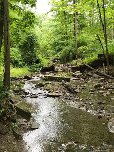 Best River Trails in Chagrin Falls | AllTrails
