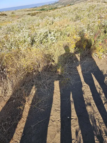 Best Hikes and Trails in Western Riverside County Regional Conservation ...