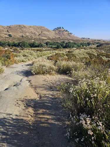 Best Hikes and Trails in Western Riverside County Regional Conservation ...