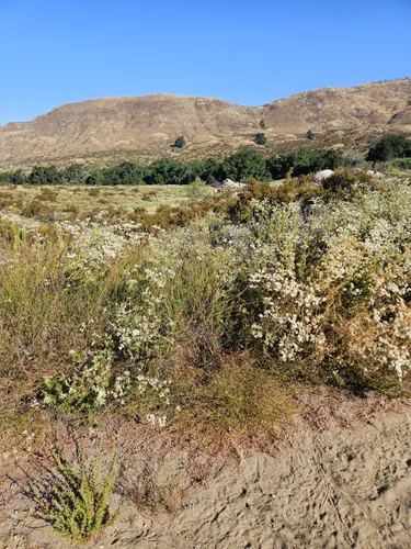 Best Hikes and Trails in Western Riverside County Regional Conservation ...
