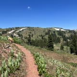 Engineer Mountain Trail, Colorado - 346 Reviews, Map | AllTrails