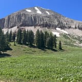 Engineer Mountain Trail, Colorado - 346 Reviews, Map | AllTrails