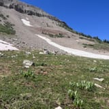 Engineer Mountain Trail, Colorado - 346 Reviews, Map | AllTrails
