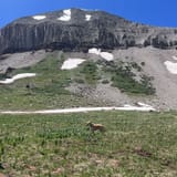 Engineer Mountain Trail, Colorado - 346 Reviews, Map | AllTrails