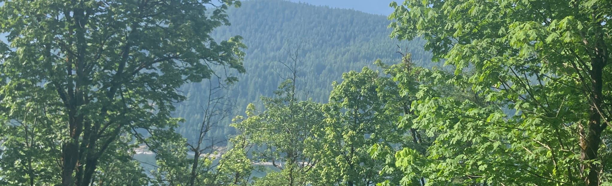 Simon Fraser University Loop Trail MTB: 229 Reviews, Map - British ...