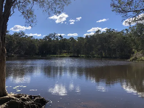 Best Hikes and Trails in Hemmant Quarry Reserve | AllTrails