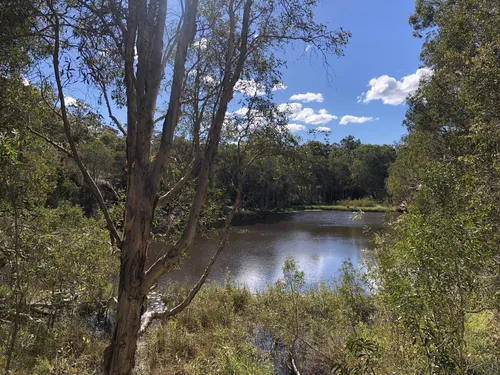 Best Hikes and Trails in Hemmant Quarry Reserve | AllTrails