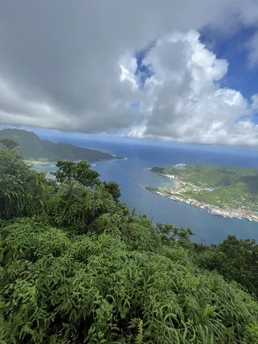 Best Bird Watching Trails in American Samoa | AllTrails