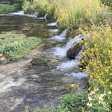 Cascade Springs Interpretive Trail, Utah - 432 Reviews, Map | AllTrails