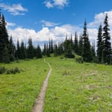 Silver Forest Trail, Washington - 382 Reviews, Map | AllTrails