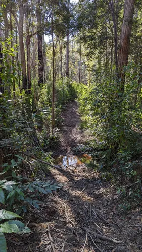 Best Hikes and Trails in Meroo National Park | AllTrails