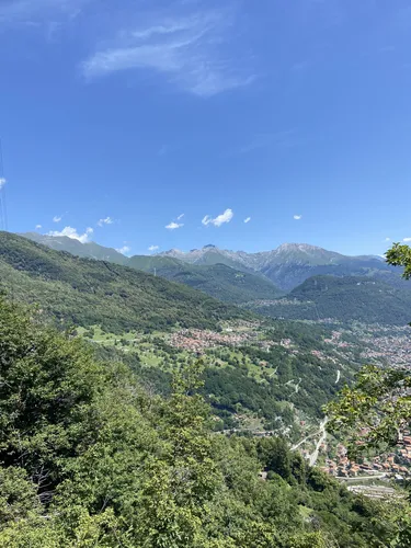 2023 Best Forest Trails in Dongo | AllTrails