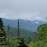 Double Spring Gap Shelter and Kuwohi via Appalachian Trail [CLOSED ...