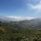 Gerbode Valley Loop, California - 490 Reviews, Map | AllTrails