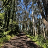 Gerbode Valley Loop, California - 490 Reviews, Map | AllTrails