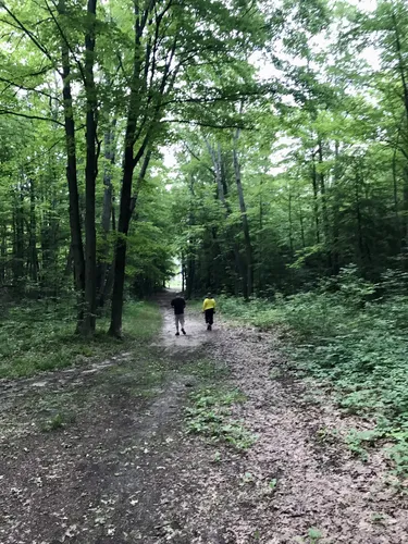 Best Hikes and Trails in Eldred King Woodlands | AllTrails