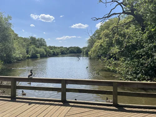 10 Best Walking Trails in Epping Forest | AllTrails