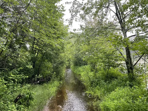 Best Hikes and Trails in Georgetown-Rowley State Forest | AllTrails