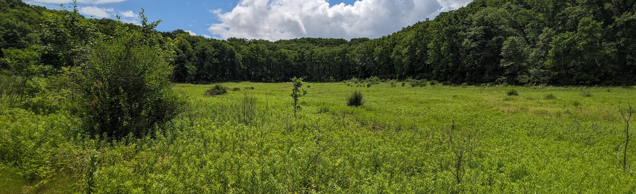 Prairie and Valley Loop, Wisconsin - 27 Reviews, Map | AllTrails