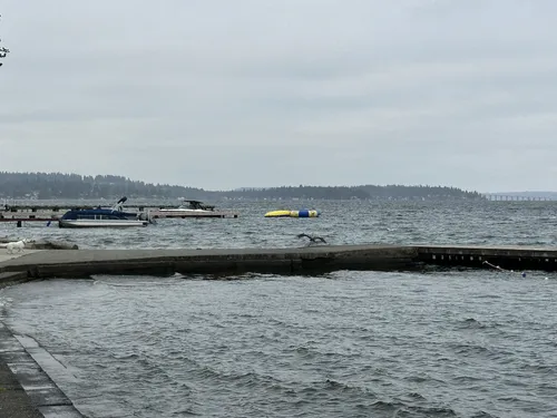 Best Hikes and Trails in Waverly Beach Park | AllTrails