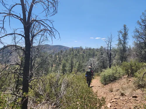 Best Hikes and Trails in Hellsgate Wilderness | AllTrails