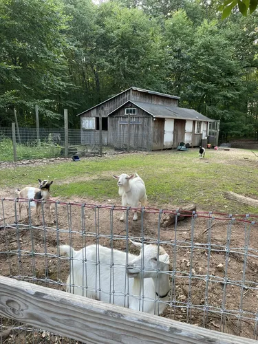 Best Hikes and Trails in Bush Hill Farm Preserve | AllTrails