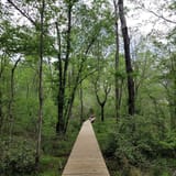Ellerslie Park Loop, Georgia - 108 Reviews, Map | AllTrails