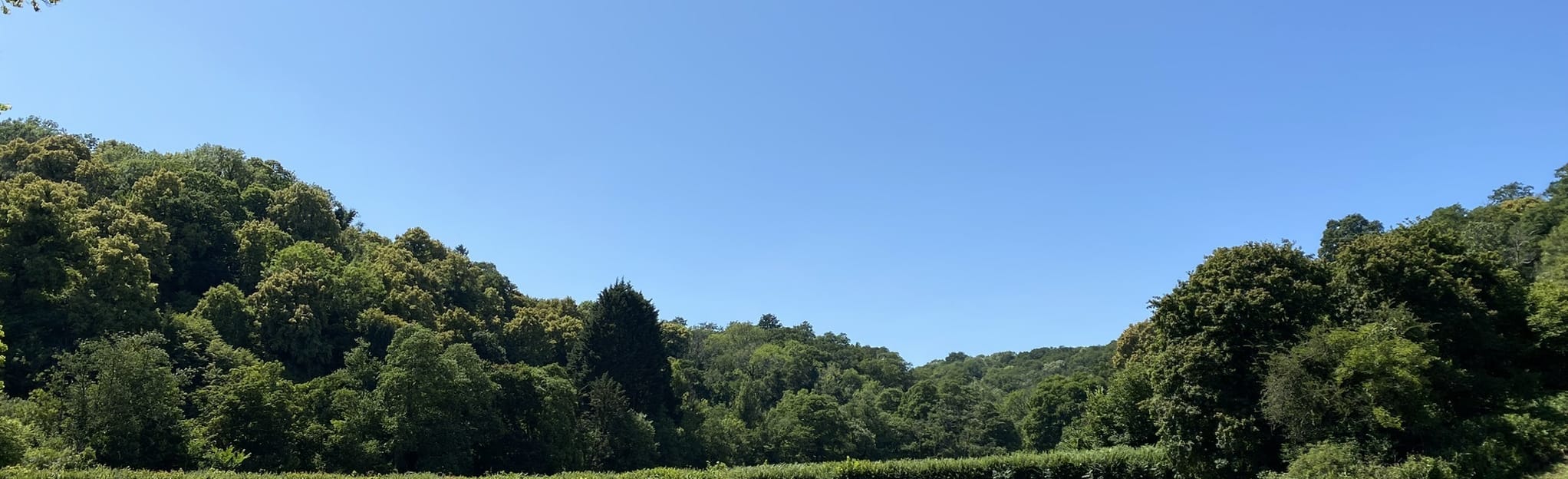 River Lemon Circular, Devon, England - 11 Reviews, Map | AllTrails