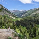 Alaska Basin Trail, Wyoming - 425 Reviews, Map | AllTrails