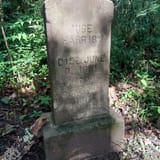 Coates Bluff Nature Trail, Louisiana - 11 Reviews, Map | AllTrails