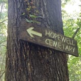 Coates Bluff Nature Trail, Louisiana - 11 Reviews, Map | AllTrails